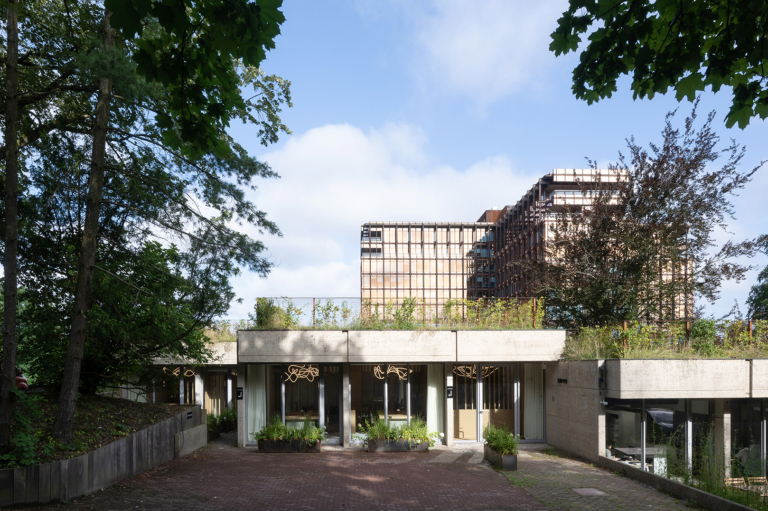 Home - Cores Development