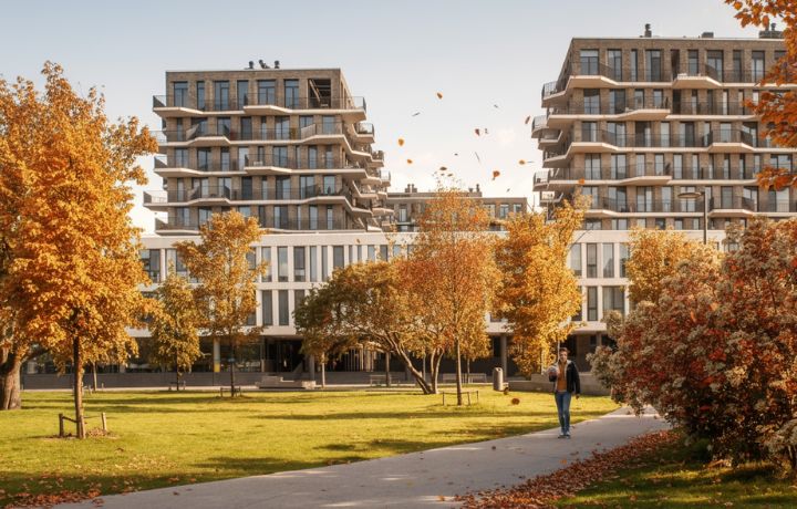 Home - Cores Development